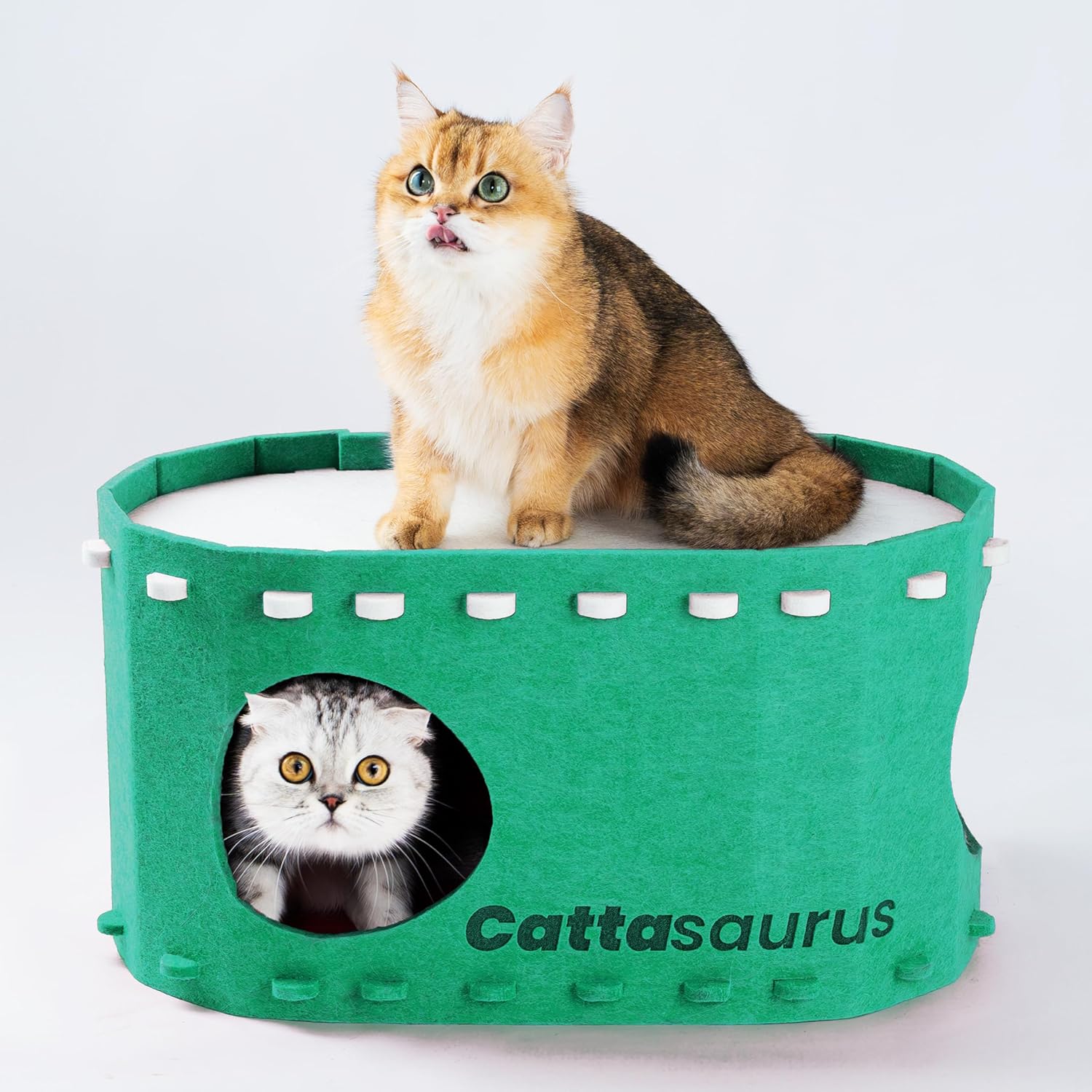 Scratchables – Cattasaurus