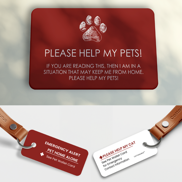 Emergency Pet Card & Key Tag – Cattasaurus