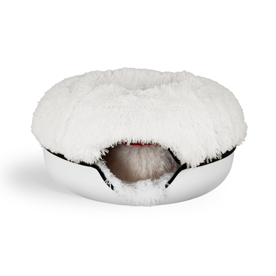 All Products – Cattasaurus